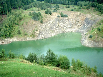 Grup Scolar Maneciu: CADRE DIDACTICE