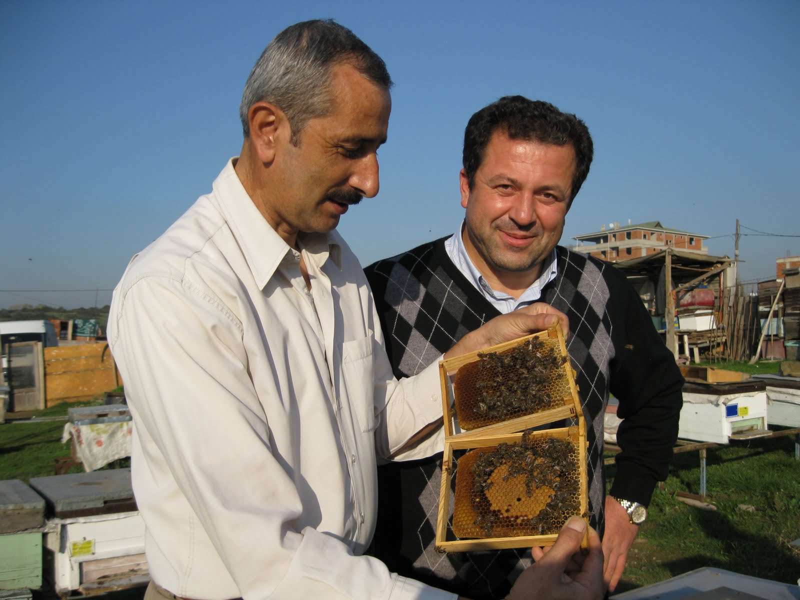 Arıcılık Bilgi Merkezi » Blog Archive » 26 KASIM 2009 ARİFE, YARIN ...