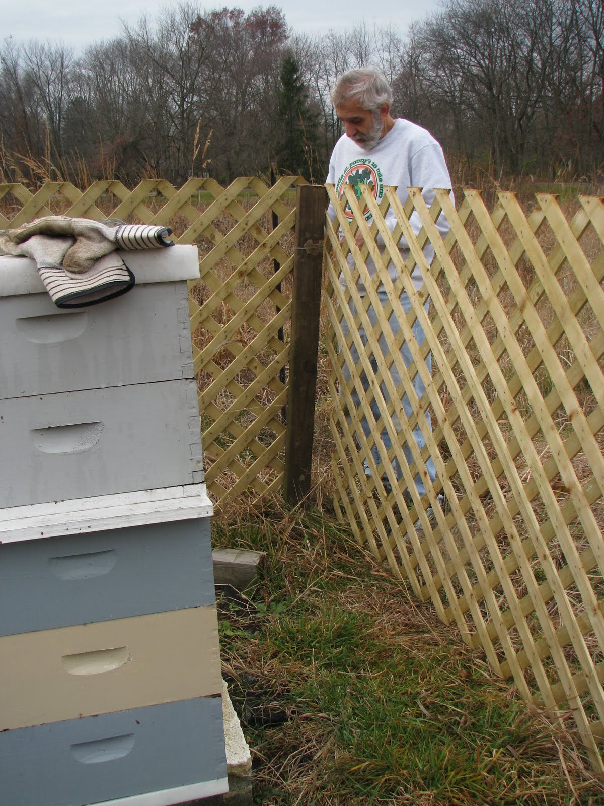Foulkeways and Beyond: Windbreaker for bees