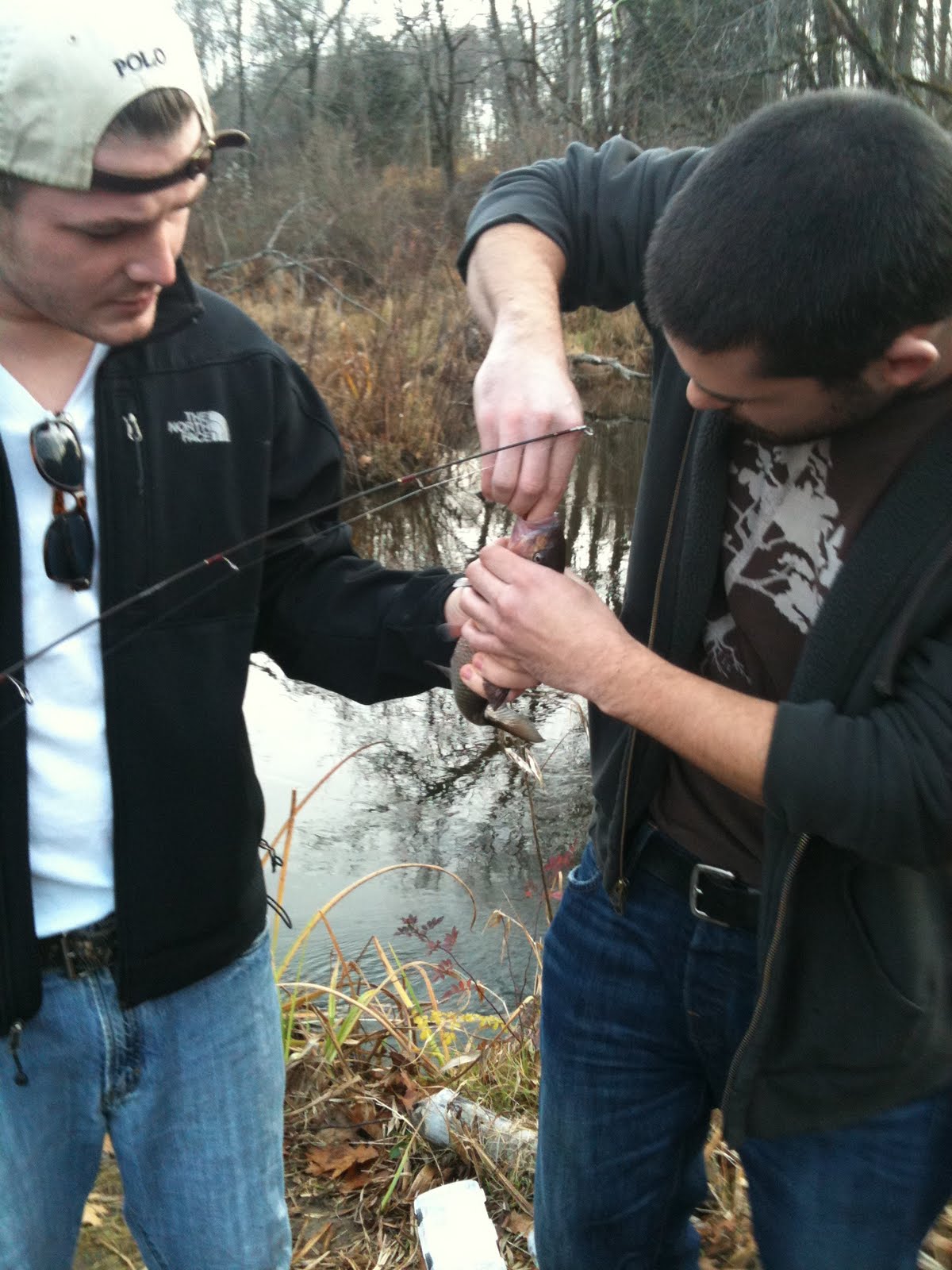The Freshwater Fishing Blog of New England: Fall Fallfish