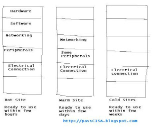 CISA made Easy - Easy CISA Preparation: Disaster Recovery Services for ...