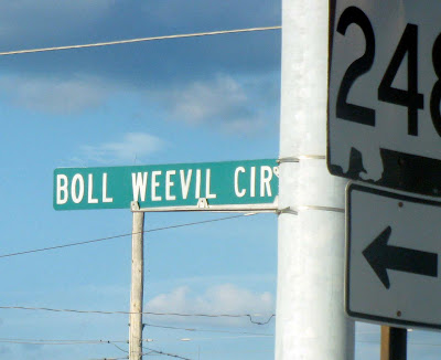 Eccentric Roadside: Weevil, weevil rock you: Enterprise, Alabama's Boll ...