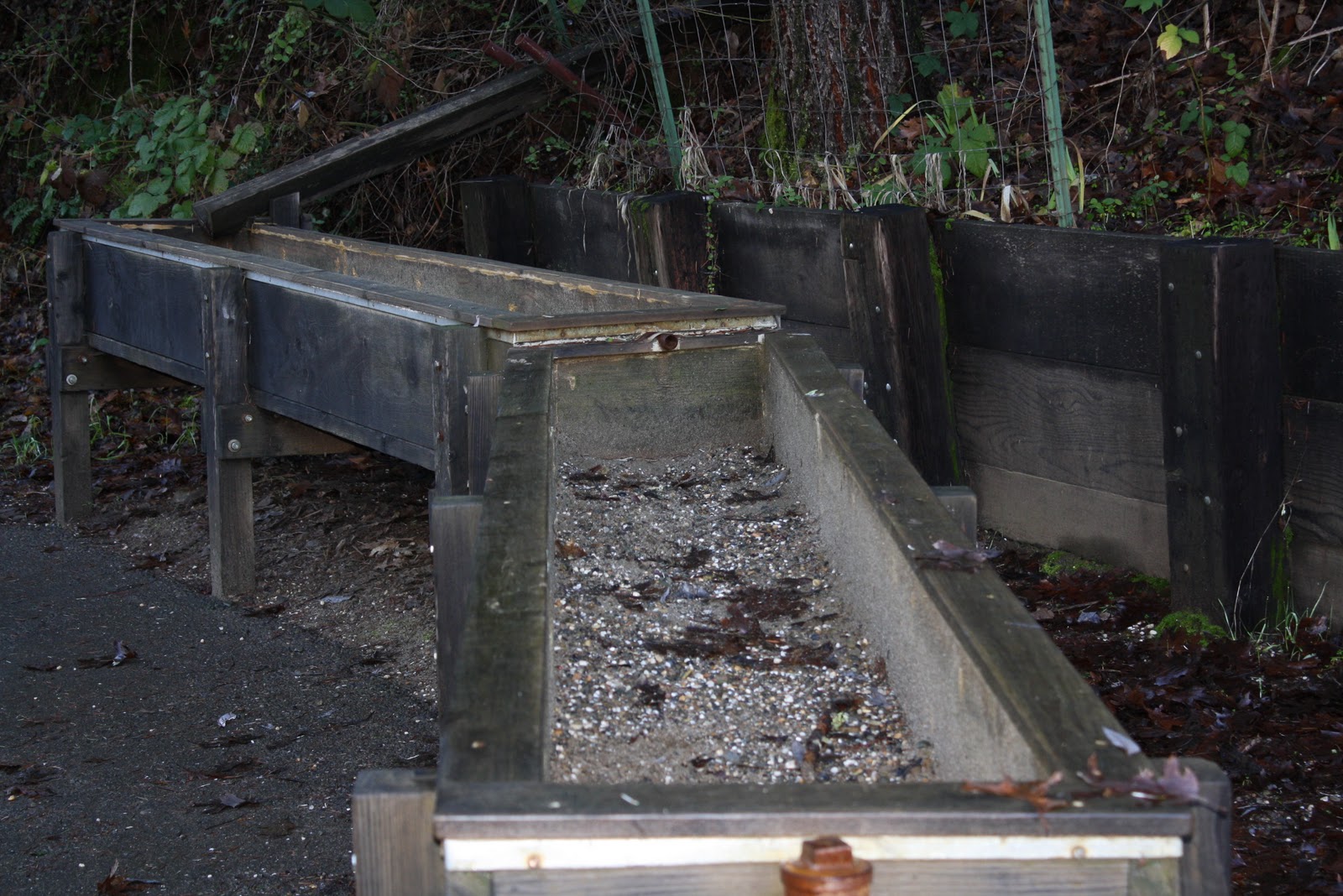 Weekend Adventures: Gold Bug Mine & Marshall Gold Discovery State ...