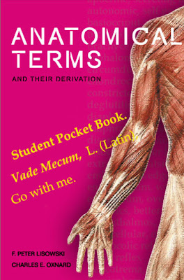 doctors drive: Anatomy: Anatomical Terms and their Derivation