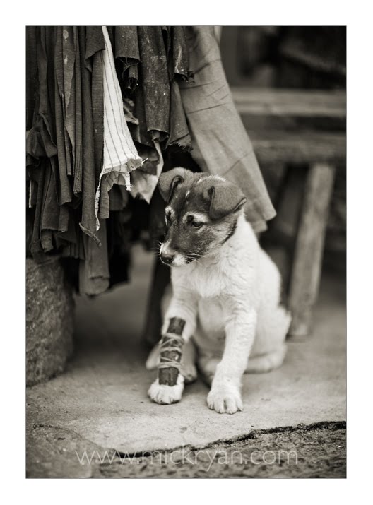 Funny Things Happen When You Break Your Leg: My Favorite Funny and Sad ...