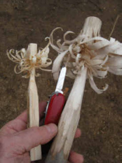 Firem n' Chit (Campfires & Fire Safety) Plus Some Carving | Wood Trails ...