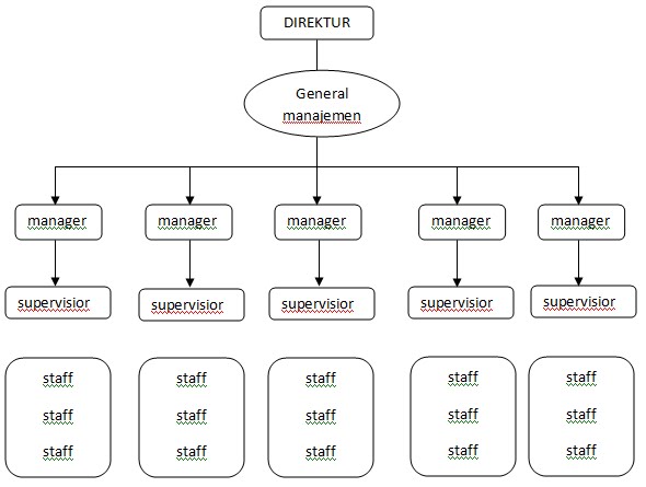 PT ABC: Struktur Organisasi