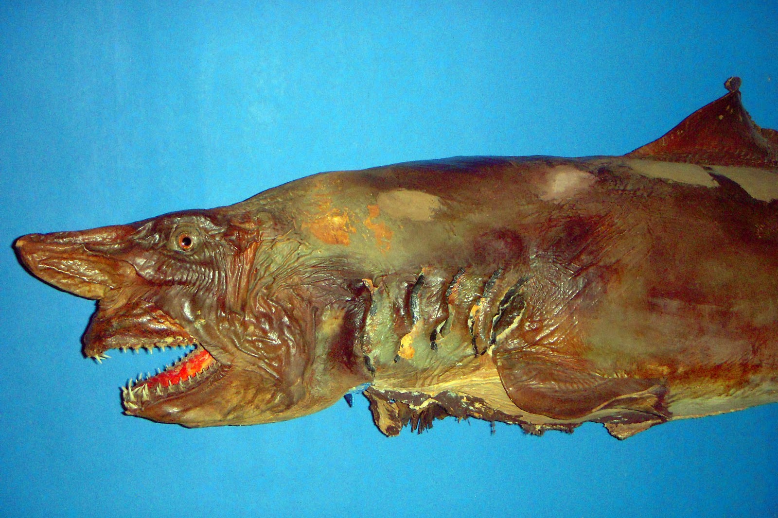 Katie's Sailing Adventure: Oct 30, 2010