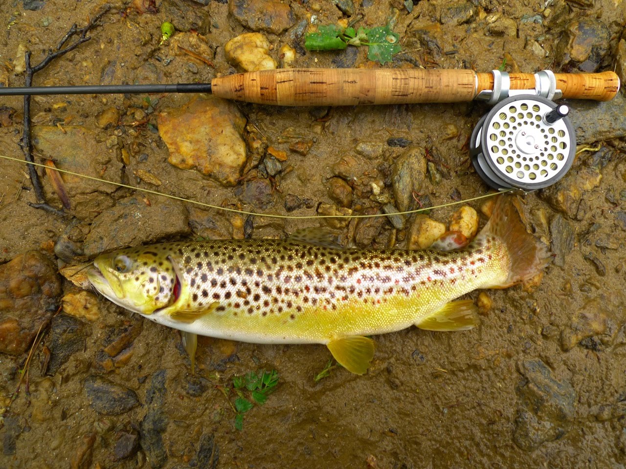 Lure Couture Fly Fishing