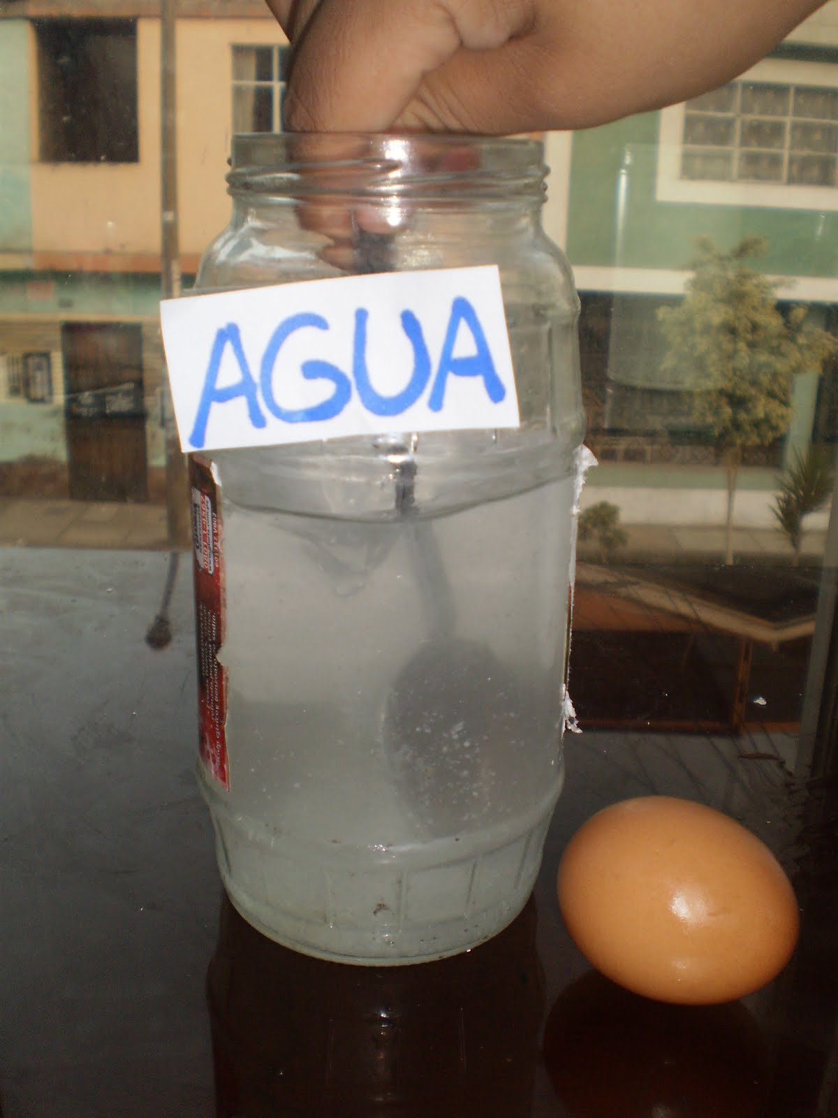 Conociendo la fisica por su mejor lado: Experimento Nº1: Un Huevo Flotando