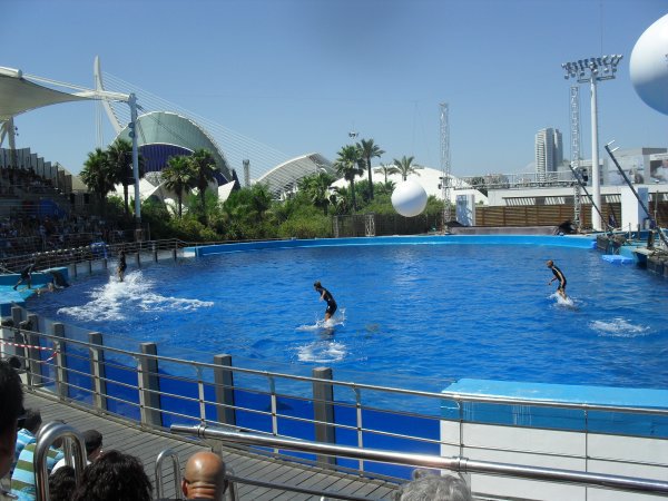 OCEANOGRAFIC DE VALENCIA