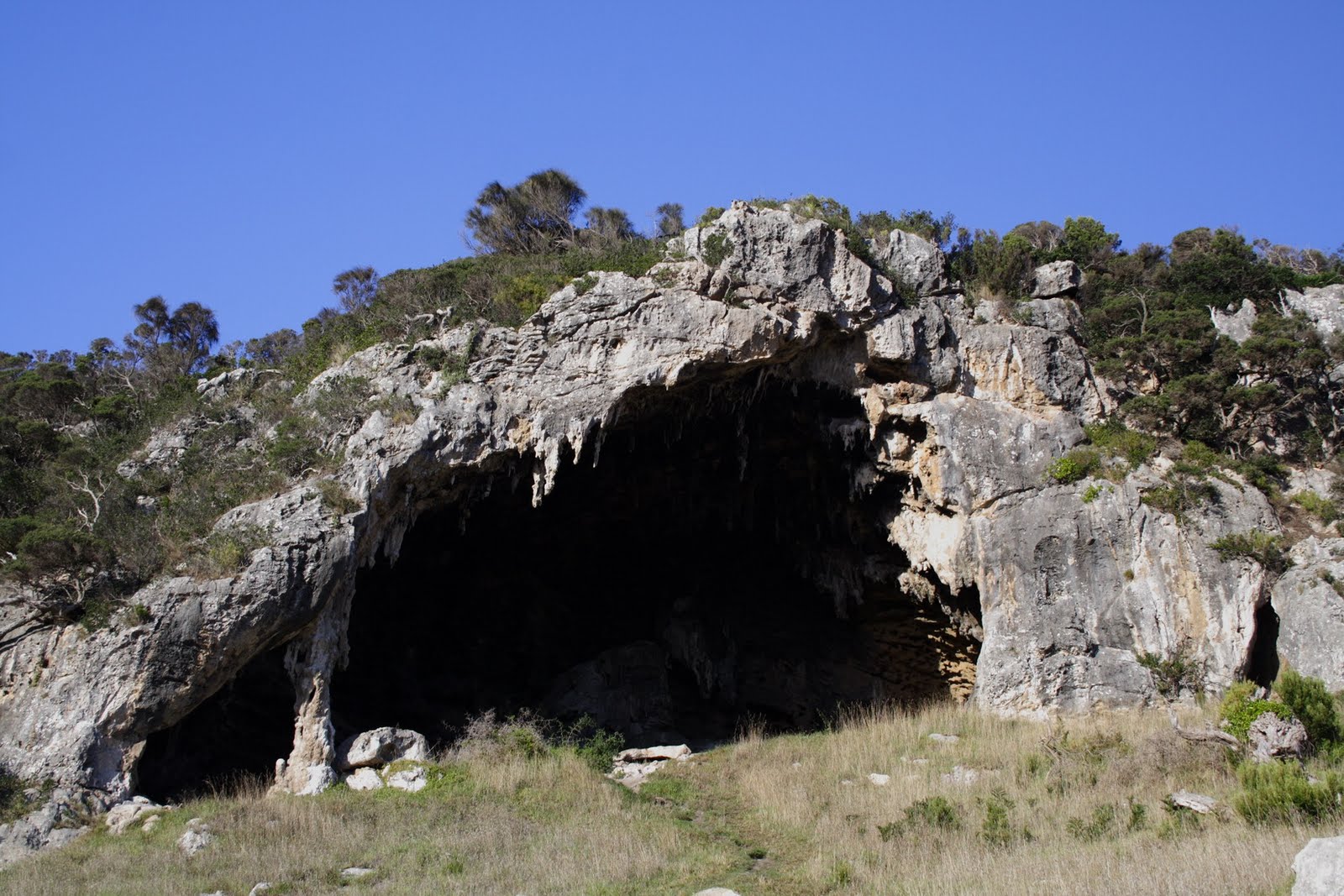 Publish or Perish: The Present and the Past