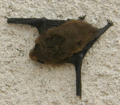 Posted by Graham Edwards at 13:36