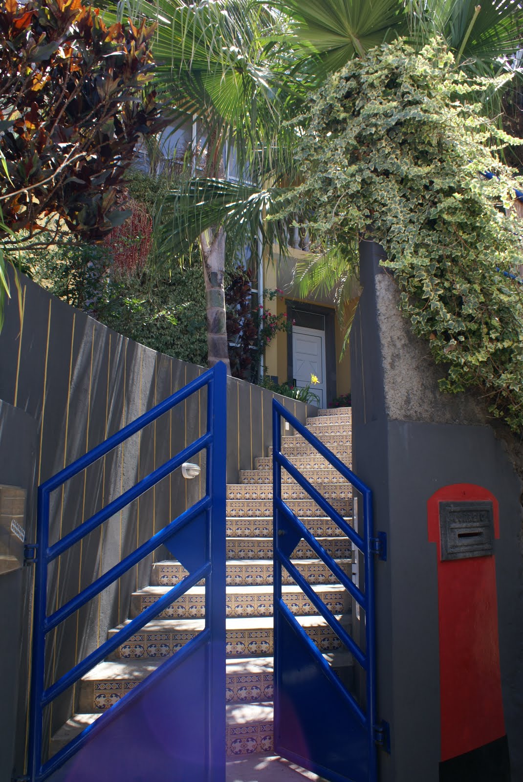 Sofia's Place: Sofia's Place brief history