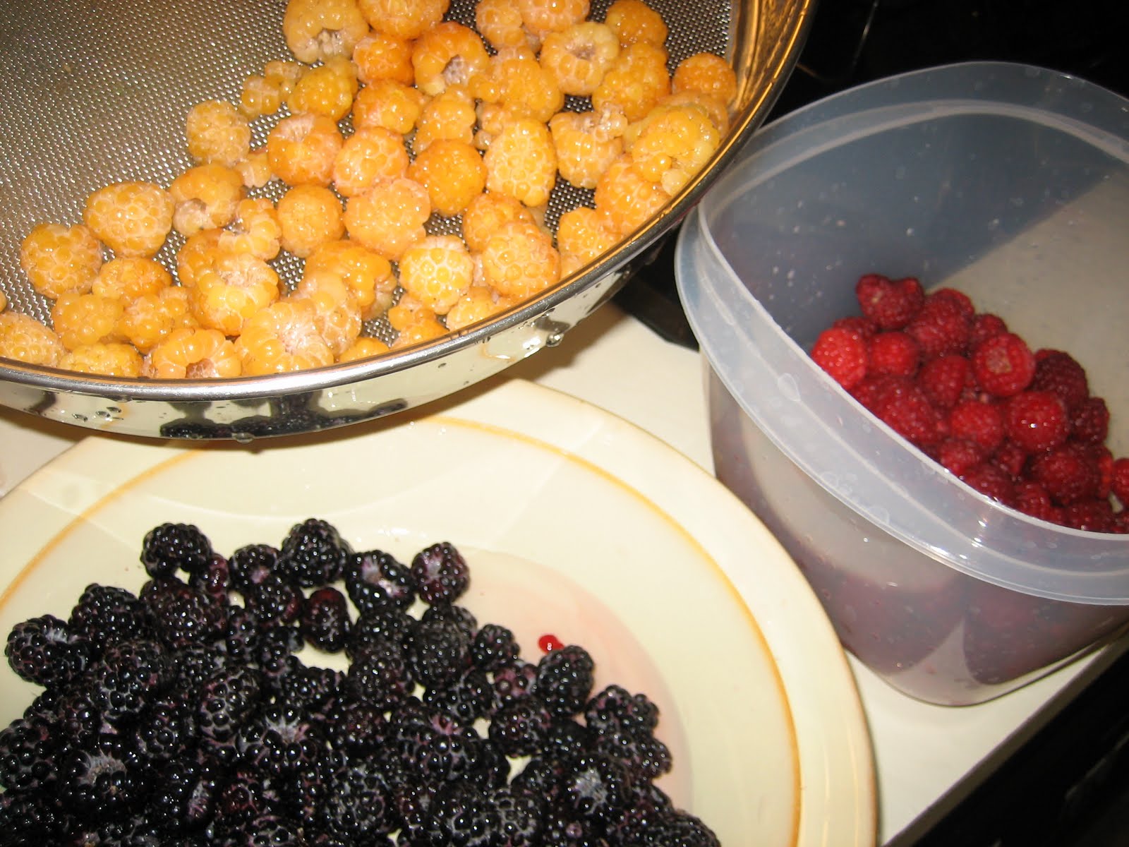 The Polymath Chronicles: Feasting Friday- Farmer's Market Raspberry Mousse