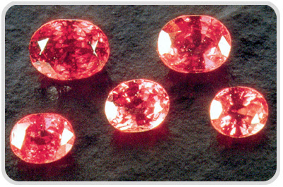 Siam Gem & Jewelry