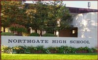 Northgate Class of 1986: Stacey (Bernstein) Morton