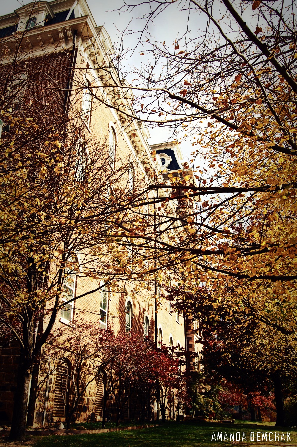 Click Click Zoom Photography: Fall day at University of Arkansas