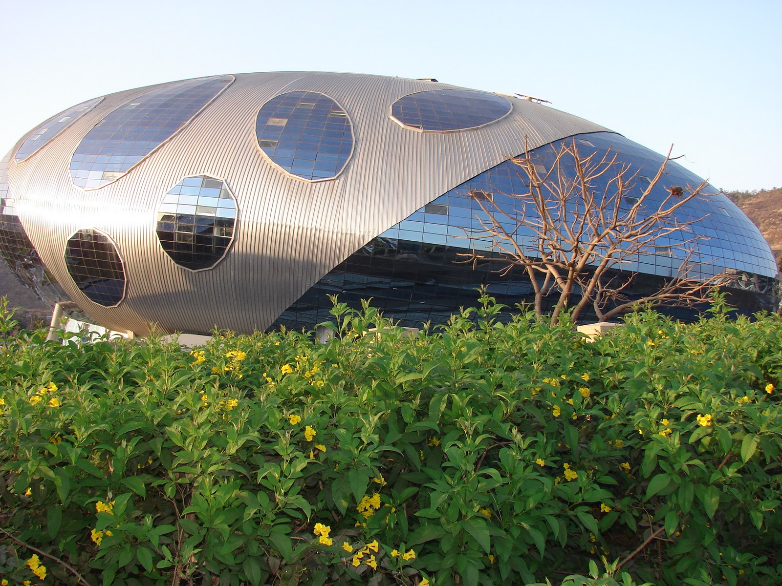 Janani: INFOSYS photos of Dubai & Pune