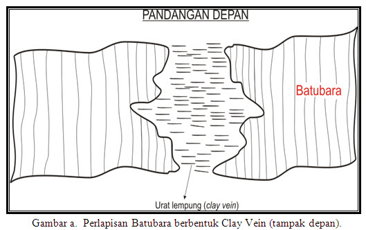 HMTP UMI Makassar: Bentuk-Bentuk Lapisan Batubara