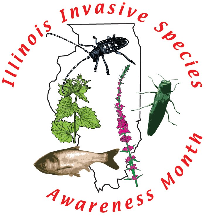Updates from Illinois Cooperative Agricultural Pest Survey Program ...