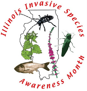 Updates from Illinois Cooperative Agricultural Pest Survey Program ...