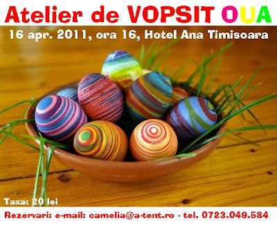 Camelia Minişan: Atelier de Vopsit OUA
