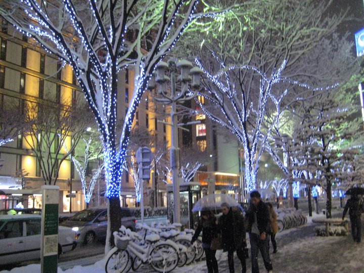 J Dee's Days: Nagoyan Snow