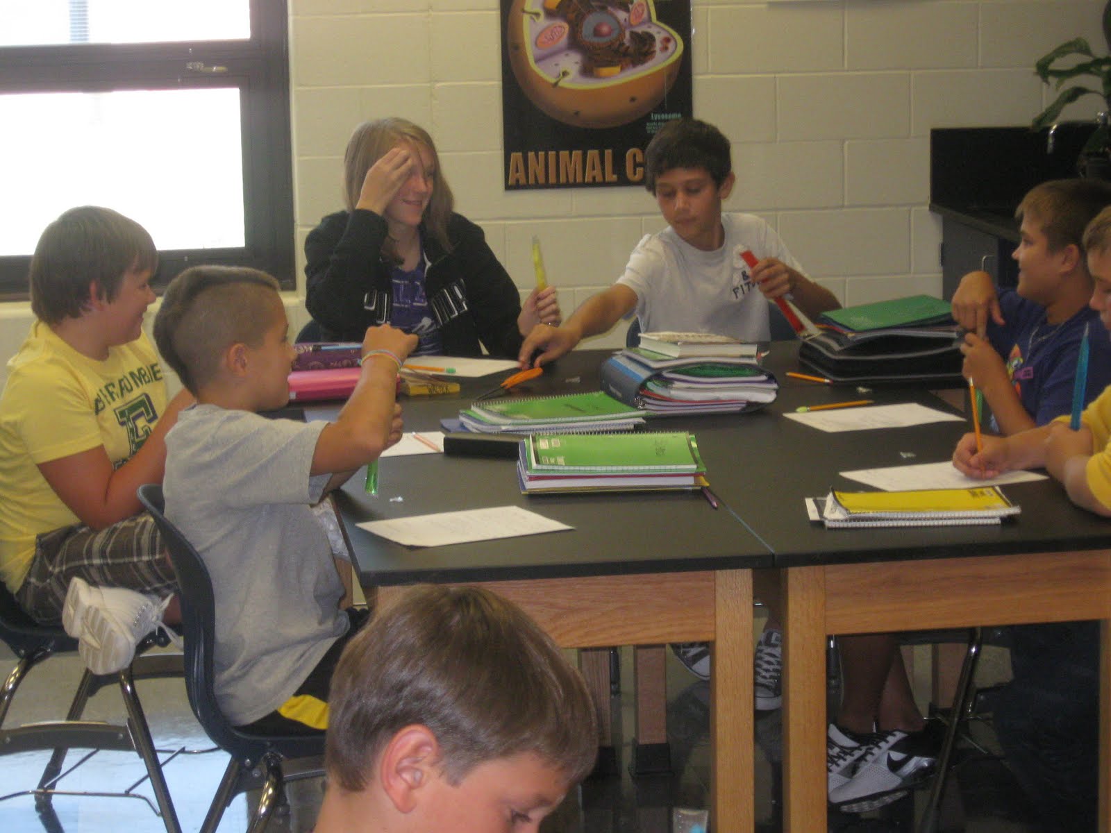 6th Grade Science Fairless Middle School: Scientific Method Activity