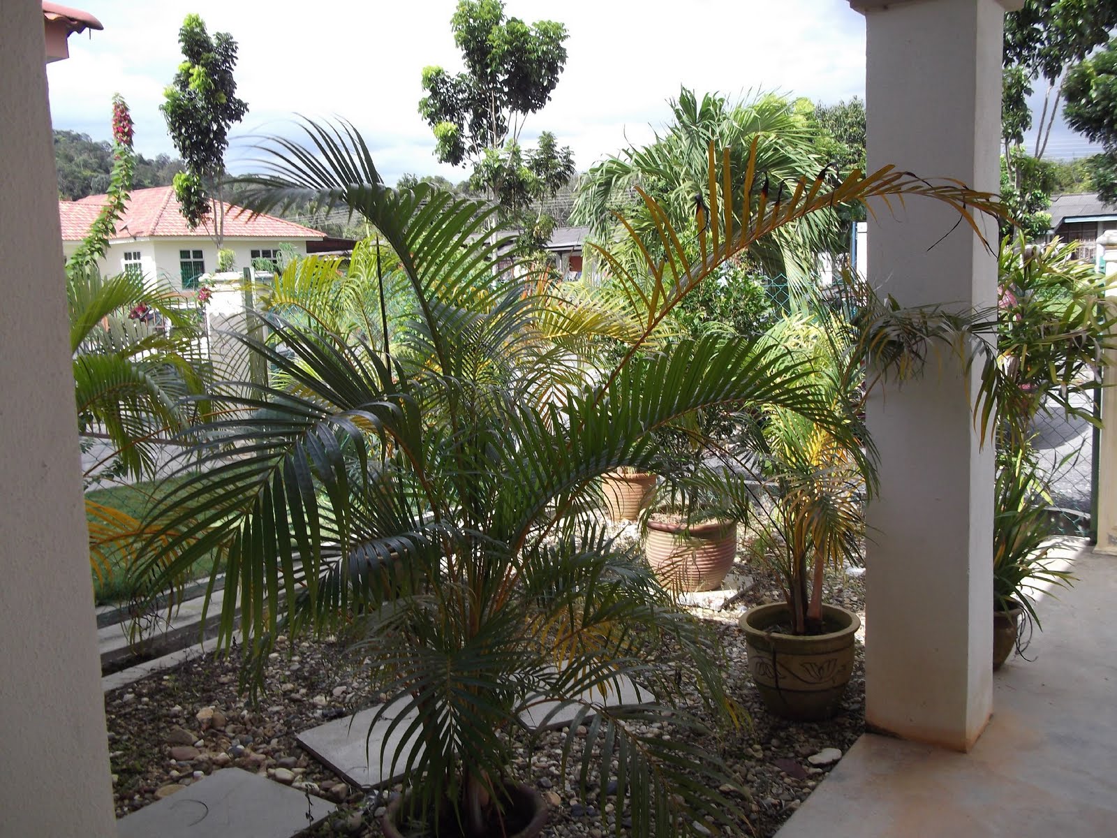 Homestay Pak Tam Jeniang