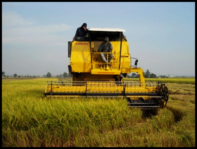 Sekilas pandang: Loghat : Jentera Berat