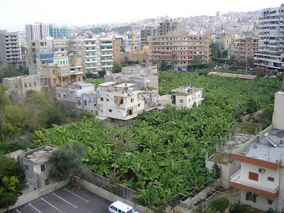 Better World: Please, save me as a green area in Saida city in Lebanon