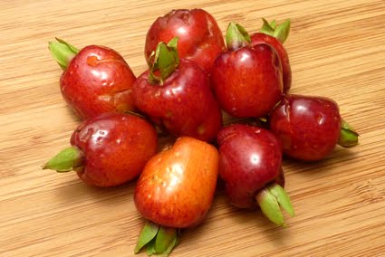 Eugenia involucrata (cerella) y otros frutos en Misiones – Huertas Urbanas