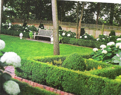 As I see it: More Boxwood + Hydrangea