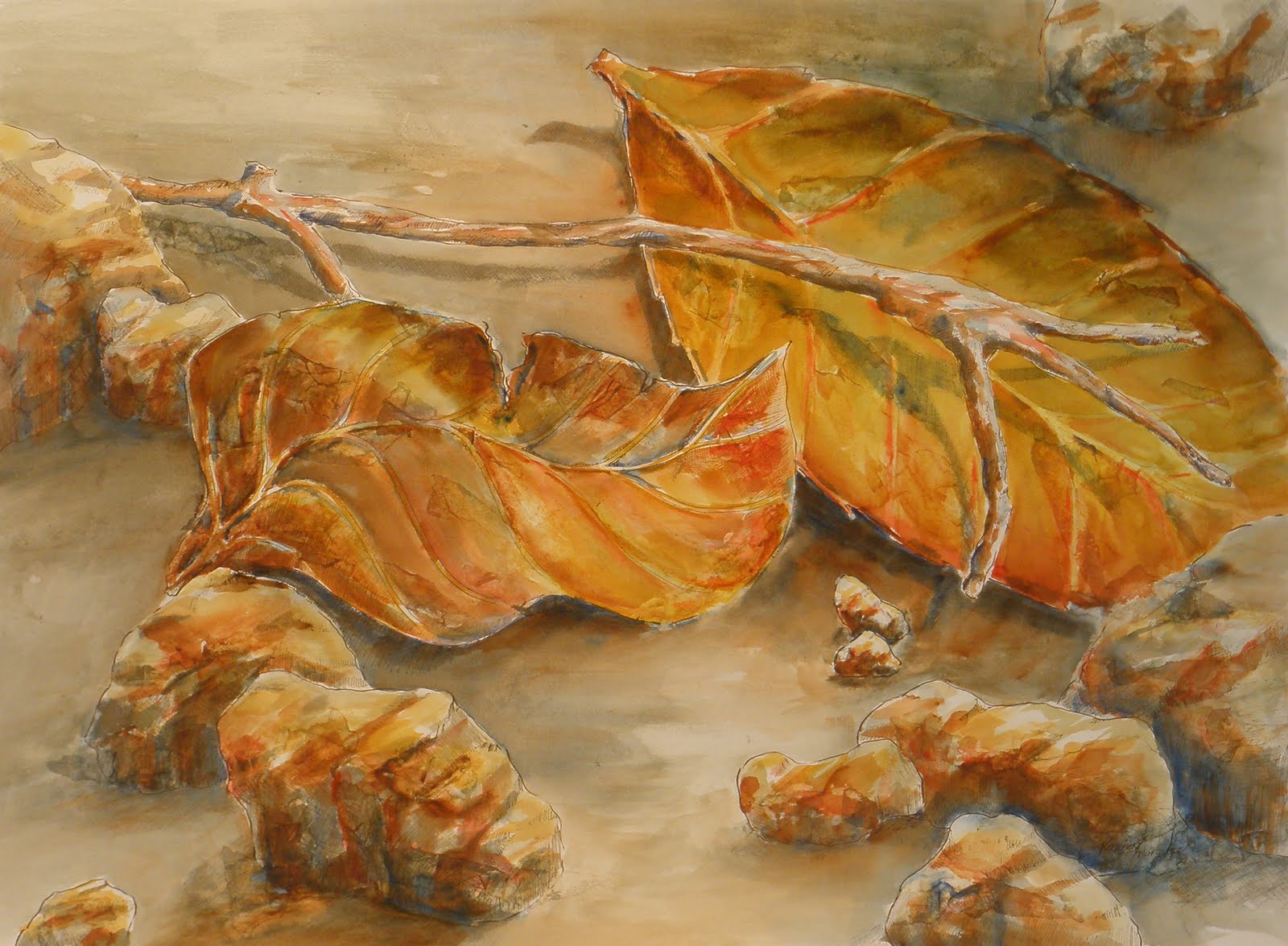 Kaaren's Art: Nature's Still Life #19