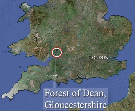 GEORGE TORTOISE NEWS: Forest Of Dean Fest Update February 2011