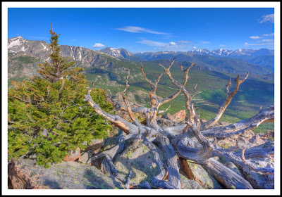 stuff i've photographed: half mountain hike