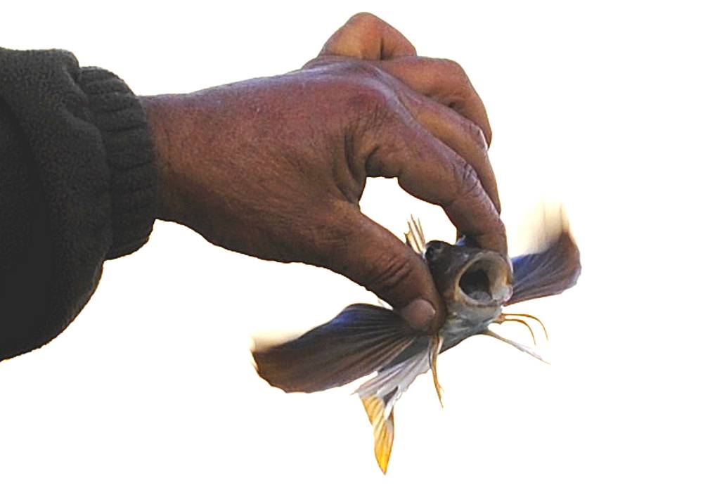 NANCY and BILL: Cheraw State Park Camping - Sunday, Oct 17, 2010
