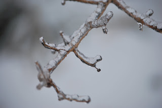 Kristy Jordan Photography