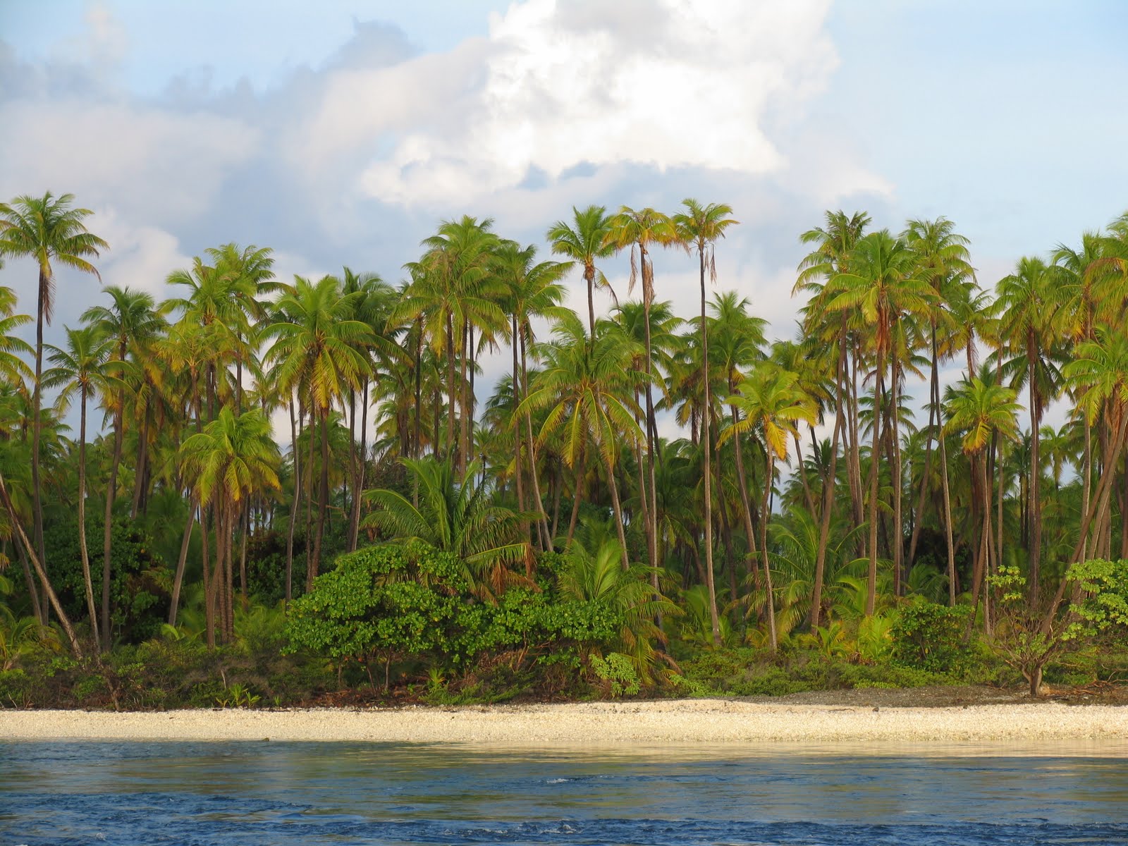 Mystery Ship Adventures: Tuamotus Pics