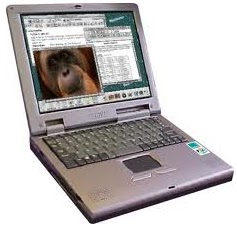 Todo informacion: Que programas debe tener una computadora