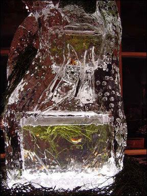 Fish Tank Carved from Ice