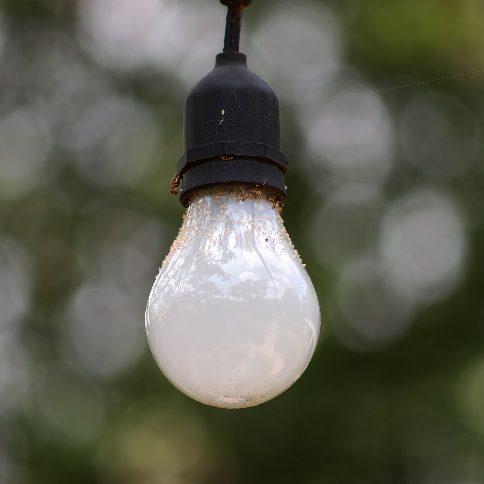 The Visual Science Lab / Kirk Tuck: Half frame mania. Starring the 150.