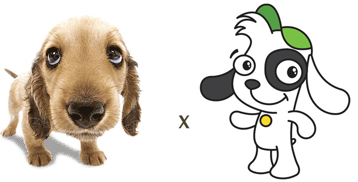 Limpinho e Cheiroso: Doki vs Dog