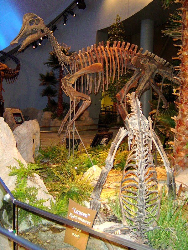 Love in the Time of Chasmosaurs: Into the Dinosphere