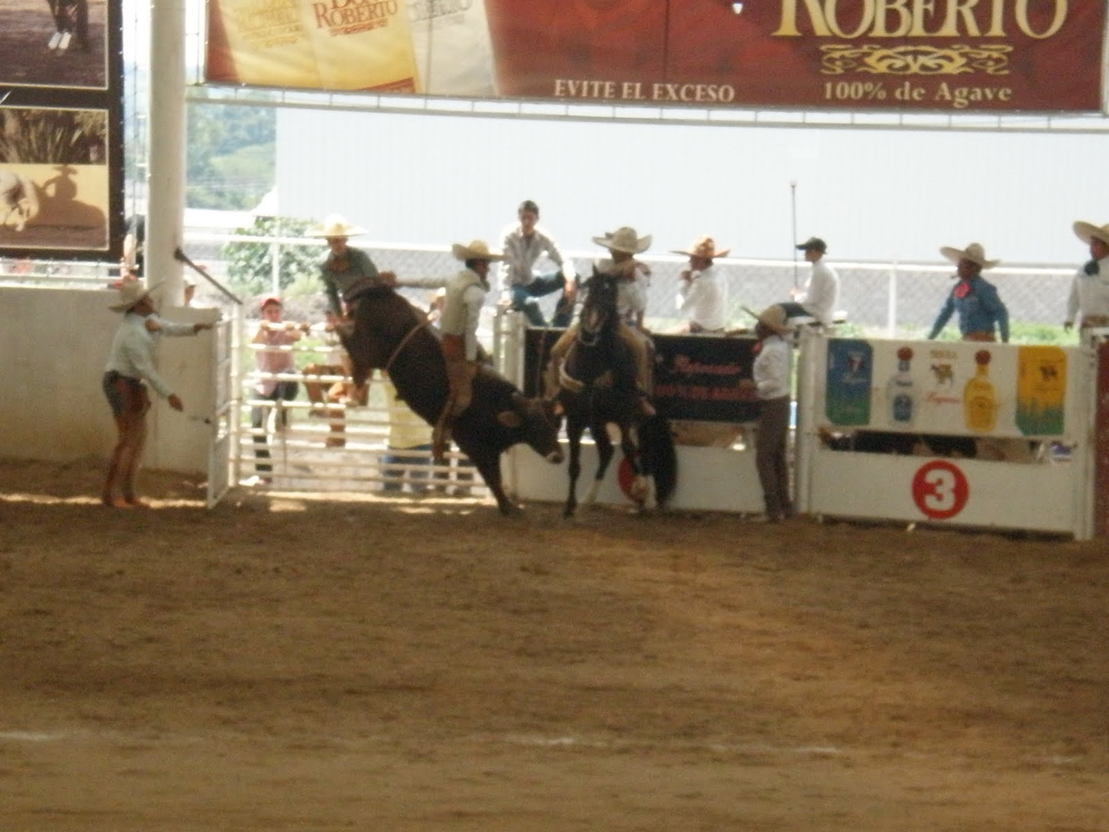 CHARRERIA : JINETEO DE TORO