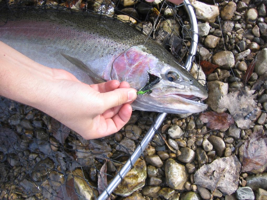 Chicago Trout Bum -- Fly Selections: Rubber Leg Steelhead Streamer Pattern