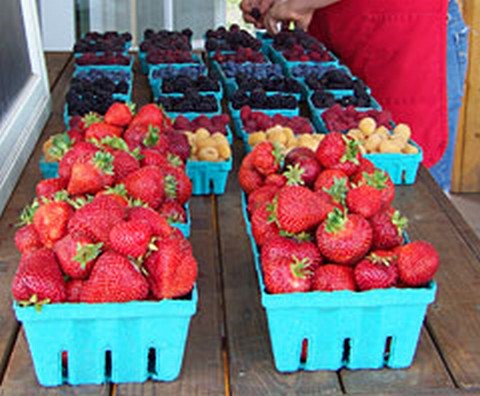 Durango Washington: Getting a Berry Milkshake at the Sakuma Market ...