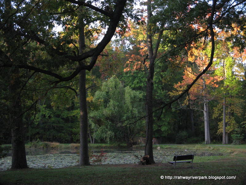 4 seasons in the life of Rahway River Park: An October Day
