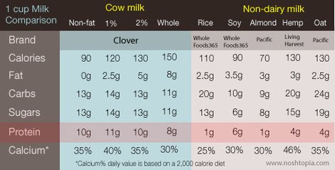 Living La Vida Low GI: Homemade Almond Milk
